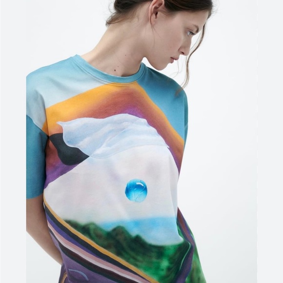 Zara | Tops | Zara Nwt Limited Edition Tshirt By Larissa De Jesus ...